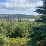 Curry Ridge Trail, Alaska - 756 Reviews, Map | AllTrails