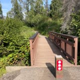 Curry Ridge Trail, Alaska - 756 Reviews, Map | AllTrails