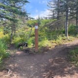 Curry Ridge Trail, Alaska - 756 Reviews, Map | AllTrails