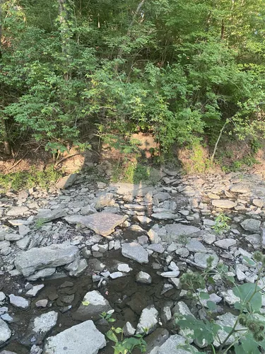 Best Hikes and Trails in Symmes Township Park | AllTrails