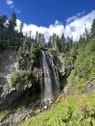 10 Best Trails and Hikes in Longmire | AllTrails