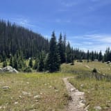 Timber Lake Trail, Colorado - 548 Reviews, Map | AllTrails
