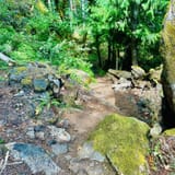 Dry Creek Trail, Washington - 362 Reviews, Map | AllTrails