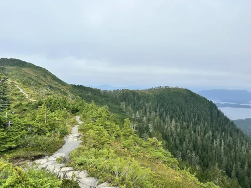 10 Best Trails and Hikes in Sitka | AllTrails
