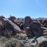 Signal Hill Trail, Arizona - 1,119 Reviews, Map | AllTrails