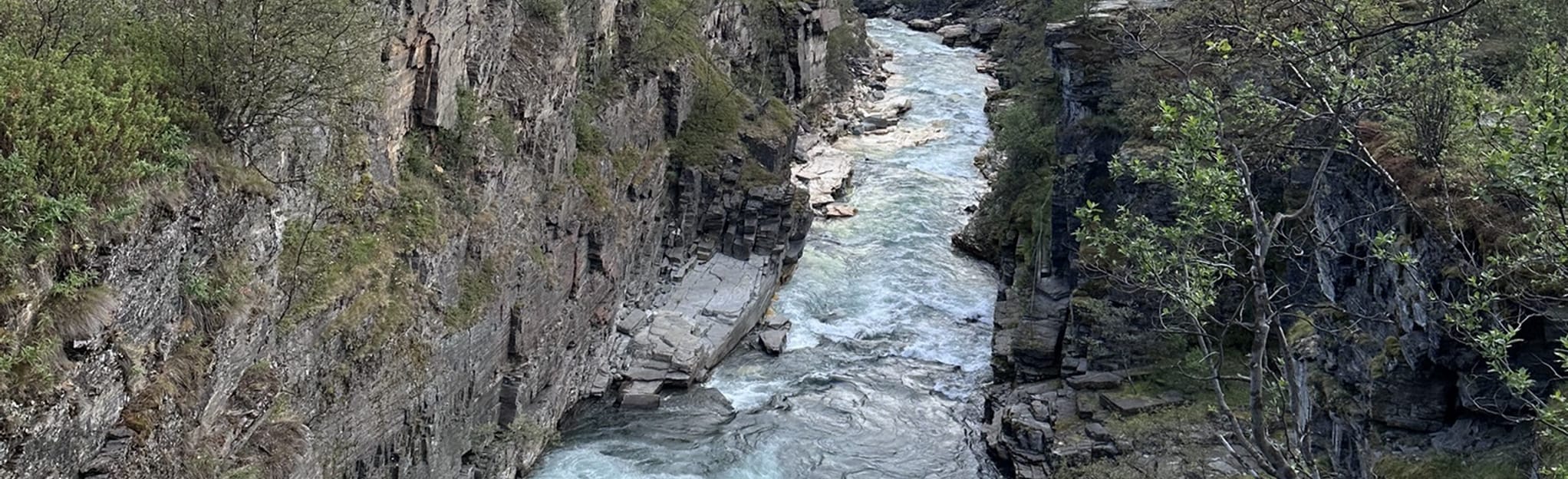 Abiskojåkka Kanjon, Norrbotten, Sweden - 33 Reviews, Map | AllTrails