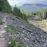 Devils Causeway Loop Trail, Colorado - 519 Reviews, Map | AllTrails