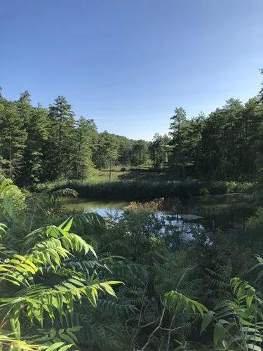 Best Hikes and Trails in Vergennes Watershed | AllTrails Best Hikes and Trails in Vergennes Watershed | AllTrails