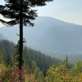 Hall Mountain Trail, Washington - 47 Reviews, Map | AllTrails