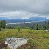 Curry Ridge Trail, Alaska - 756 Reviews, Map | AllTrails