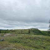 Curry Ridge Trail, Alaska - 756 Reviews, Map | AllTrails