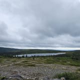 Curry Ridge Trail, Alaska - 756 Reviews, Map | AllTrails