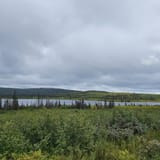 Curry Ridge Trail, Alaska - 756 Reviews, Map | AllTrails