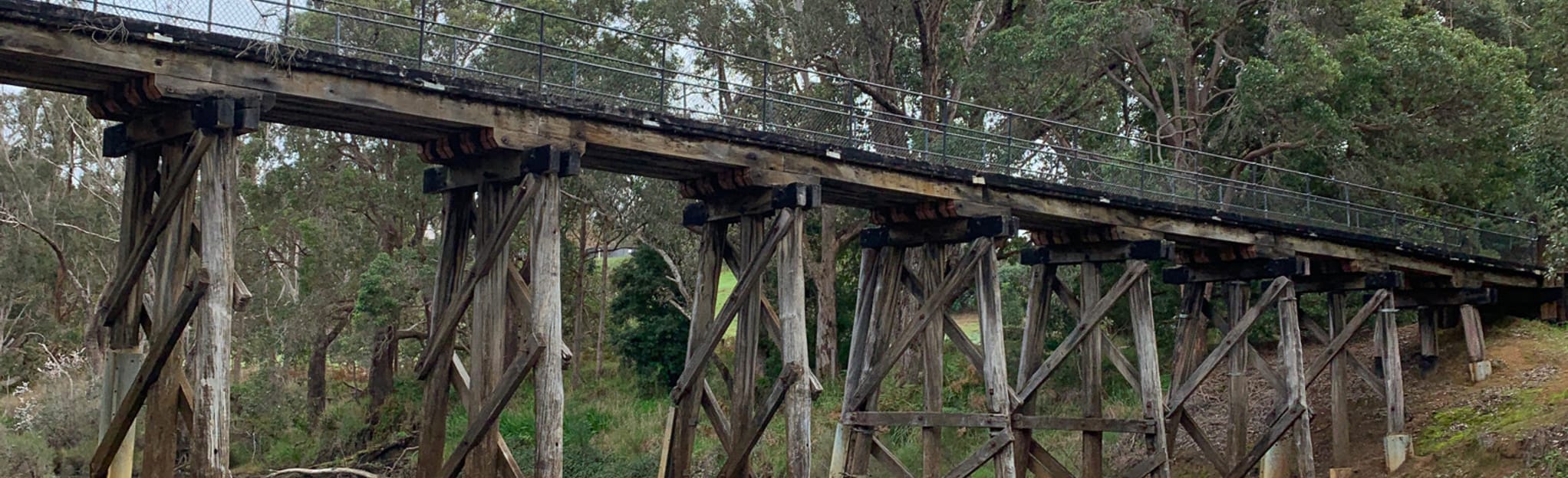 Nannup to Barrabup Pool via Old Timberline Trail, Western Australia ...