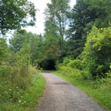 Old Quarry Trail, Ontario, Canada - 409 Reviews, Map | AllTrails
