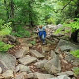Crane Mountain Loop Hike, New York - 1,262 Reviews, Map | AllTrails