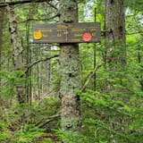 Crane Mountain Loop Hike, New York - 1,262 Reviews, Map | AllTrails