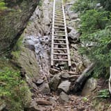 Crane Mountain Loop Hike, New York - 1,262 Reviews, Map | AllTrails