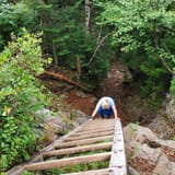 Crane Mountain Loop Hike, New York - 1,262 Reviews, Map | AllTrails
