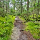 Crane Mountain Loop Hike, New York - 1,262 Reviews, Map | AllTrails