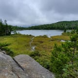 Crane Mountain Loop Hike, New York - 1,262 Reviews, Map | AllTrails