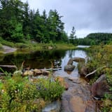 Crane Mountain Loop Hike, New York - 1,262 Reviews, Map | AllTrails