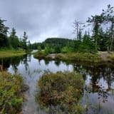 Crane Mountain Loop Hike, New York - 1,262 Reviews, Map | AllTrails