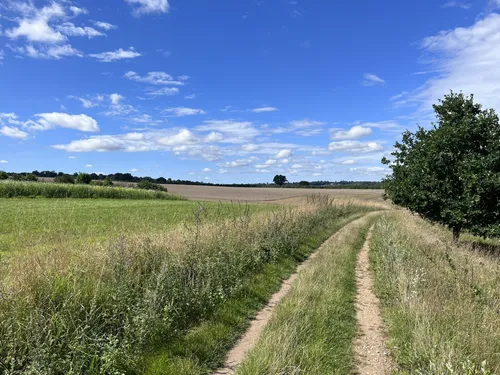 10 Best Trails and Hikes in Oxfordshire | AllTrails