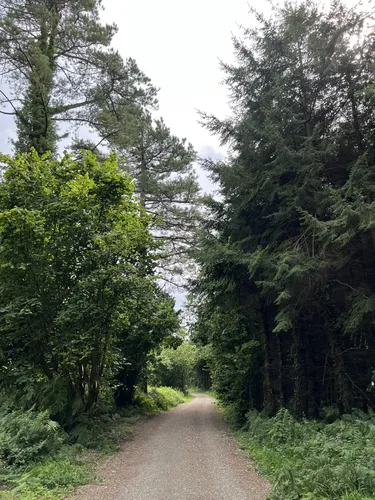 2023 Best Beach Trails in Raven Point Nature Reserve | AllTrails