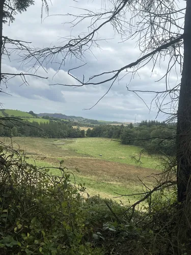 Best Dog Friendly Trails in Cowdenbeath railway station | AllTrails