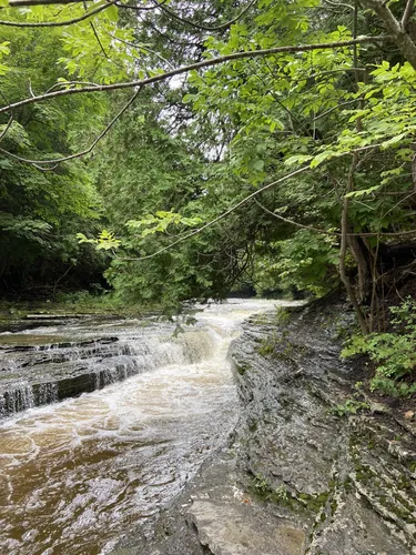 Best Hikes and Trails in Lowville | AllTrails Best Hikes and Trails in Lowville | AllTrails