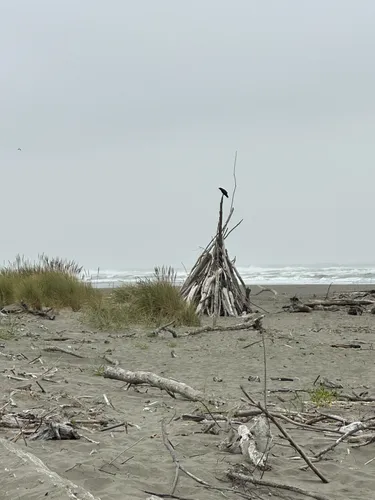 Best Hikes and Trails in Little River State Beach | AllTrails