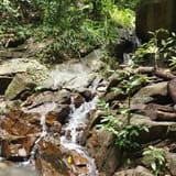 Youth Park - Astro Rock, Penang, Malaysia - 22 Reviews, Map | AllTrails