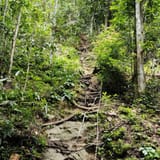 Youth Park - Astro Rock, Penang, Malaysia - 22 Reviews, Map | AllTrails