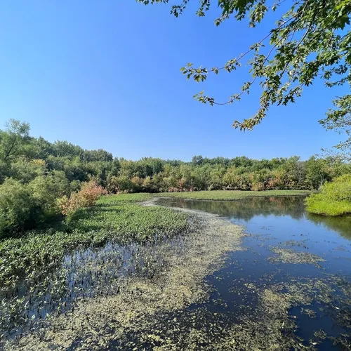 Best Hikes and Trails in Gilmore Ponds Preserve | AllTrails