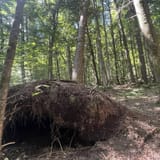 Chamberlain-Reynolds Memorial Forest Loop, New Hampshire - 854 Reviews ...