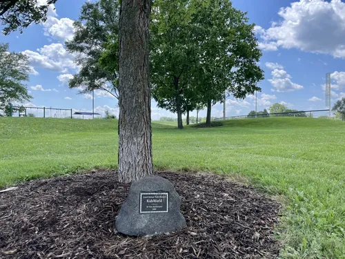 Best Lake Trails in Carol Stream | AllTrails