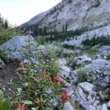 Wallowa River Loop Trail, Oregon - 193 Reviews, Map | AllTrails