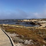 Asilomar State Beach and Coast Trail, California - 908 Reviews, Map ...