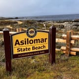 Asilomar State Beach and Coast Trail, California - 908 Reviews, Map ...