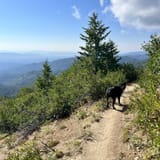Bogus Basin Loop Trail, Idaho - 252 Reviews, Map | AllTrails