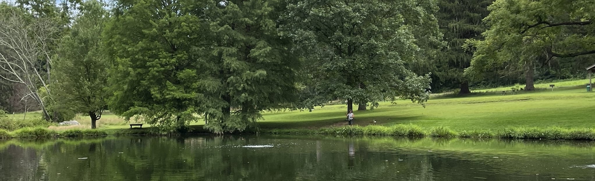 Springton Manor Bartol Trail: 147 Reviews, Map - Pennsylvania | AllTrails