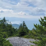 Little Jackson Mountain Trail, Maine - 296 Reviews, Map | AllTrails