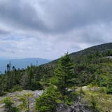 Little Jackson Mountain Trail, Maine - 296 Reviews, Map | AllTrails