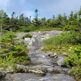 Little Jackson Mountain Trail, Maine - 296 Reviews, Map | AllTrails