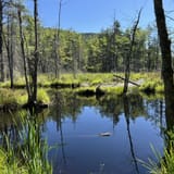 Mount Watatic, Massachusetts - 1,341 Reviews, Map | AllTrails