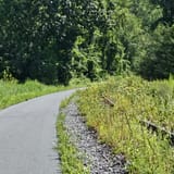 Maybrook Trailway, New York - 161 Reviews, Map | AllTrails