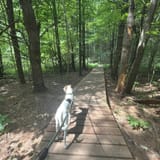 Rock Dunder, Ontario, Canada - 1,025 Reviews, Map | AllTrails