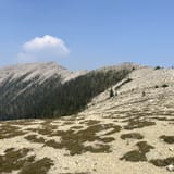 Pedley Pass and Pedley Ridge, British Columbia, Canada - 259 Reviews ...