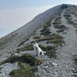 Pedley Pass and Pedley Ridge, British Columbia, Canada - 259 Reviews ...